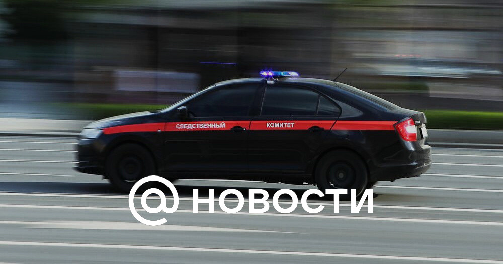 СК проверит школу в Калининграде из за детей мигрантов не знающих